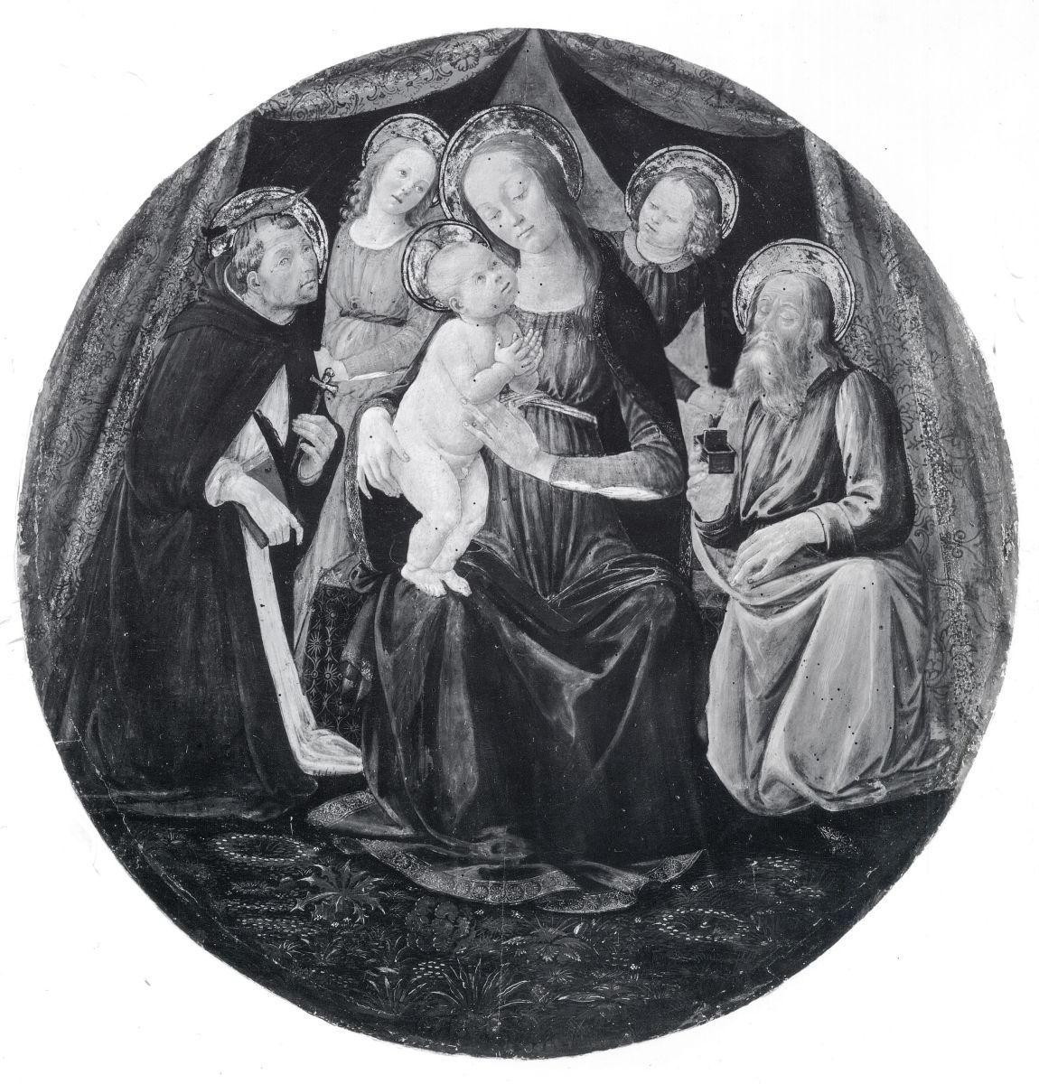 Michelangelo Angeli Dipinto