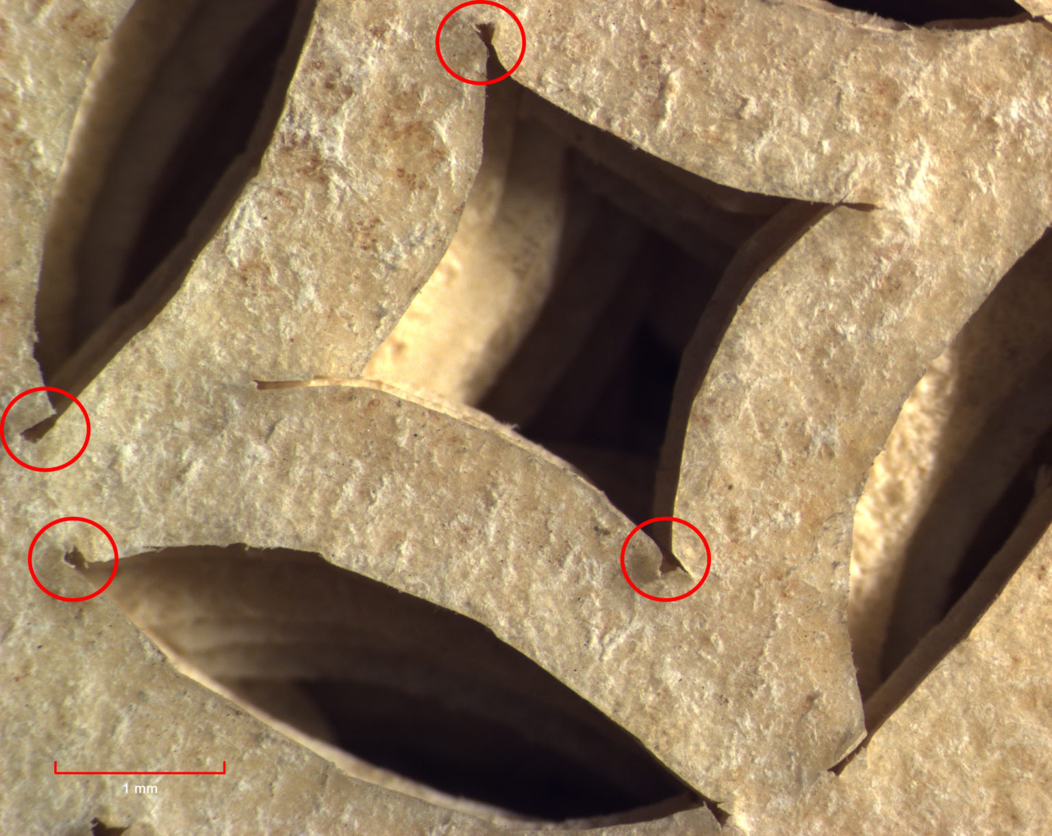 A Cut Above the Rest…? Unraveling the Mystery of the Walters “Lace ...